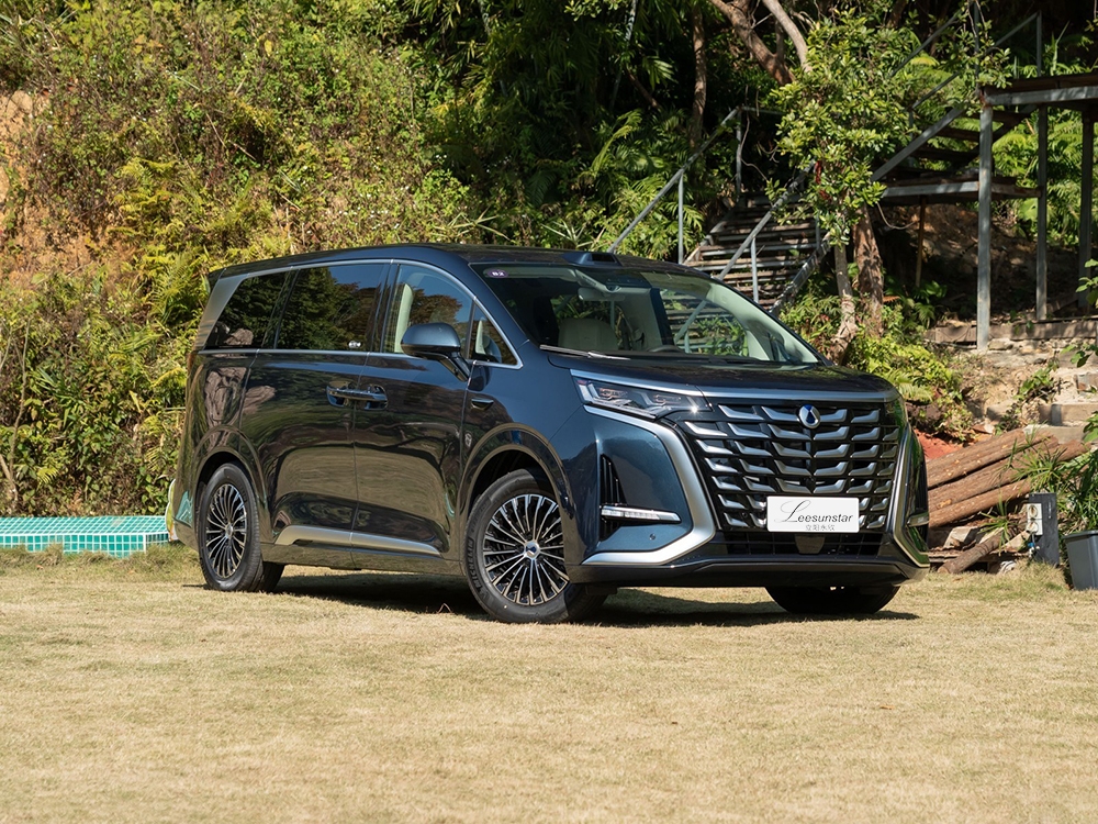 Denza D9, DMI, BYD BENZ car - Leesun Technology Co., Ltd.