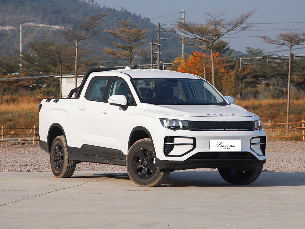 Chinese EV, Geely Radar, Pure electric - Leesun Technology Co., Ltd.